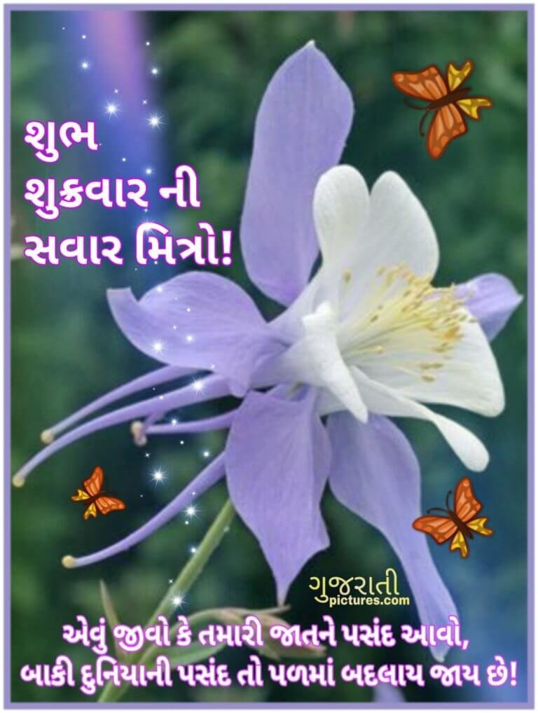 Shubh Shukravar (શુભ શુક્રવાર) - Gujarati Pictures – Website Dedicated ...