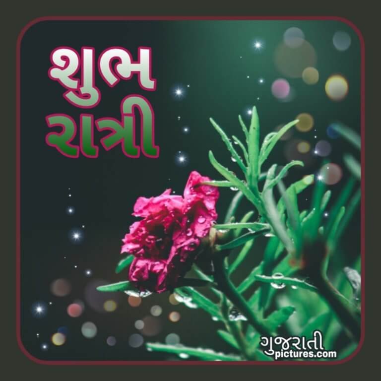 Shubh Ratri (શુભ રાત્રી) - Gujarati Pictures – Website Dedicated to ...